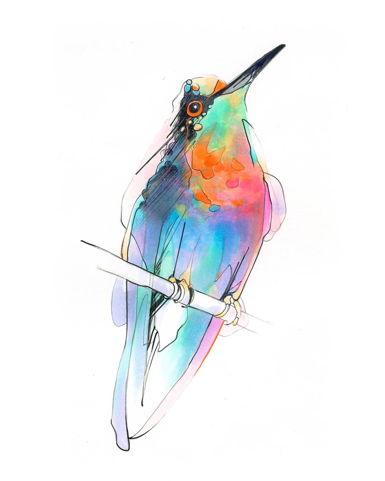 Aves – BOOOOOOOM! – CREATE * INSPIRE * COMMUNITY * ART * DESIGN * MUSIC ...