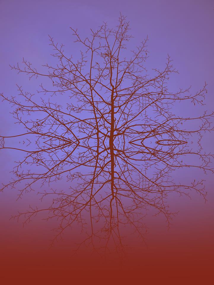 The Rorschach trees – BOOOOOOOM! – CREATE * INSPIRE * COMMUNITY * ART * DESIGN * MUSIC * FILM ...