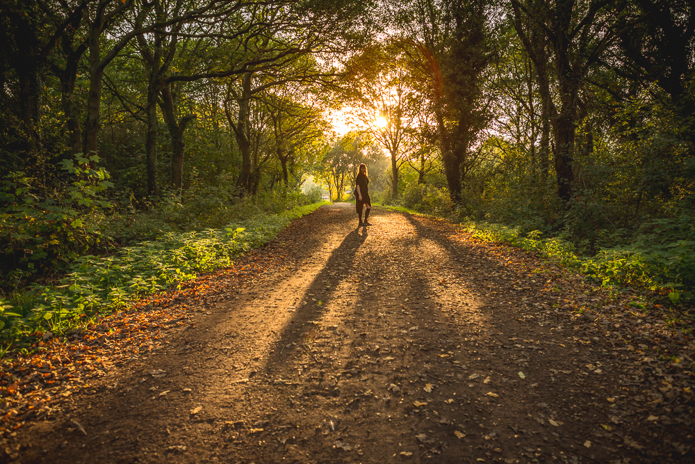 Epping Forest Stroll – BOOOOOOOM! – CREATE * INSPIRE * COMMUNITY * ART ...