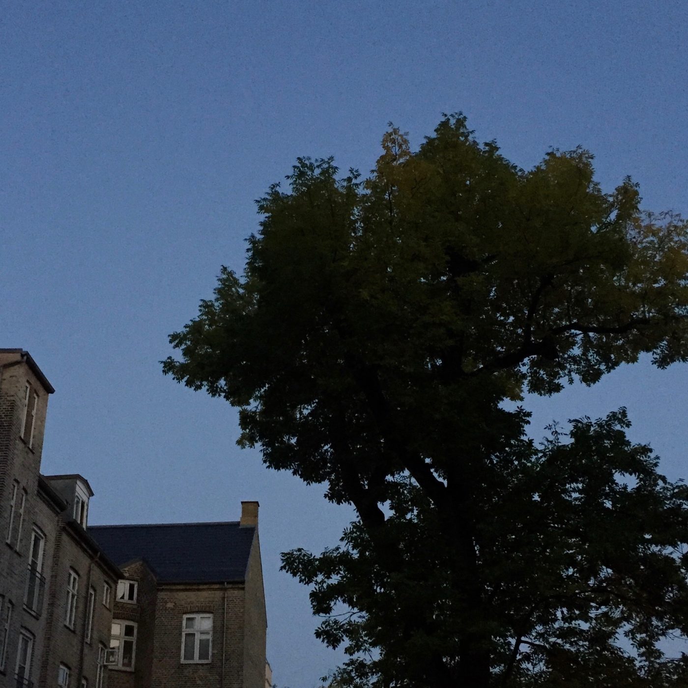 The different colors of magic hour – BOOOOOOOM! – CREATE * INSPIRE ...