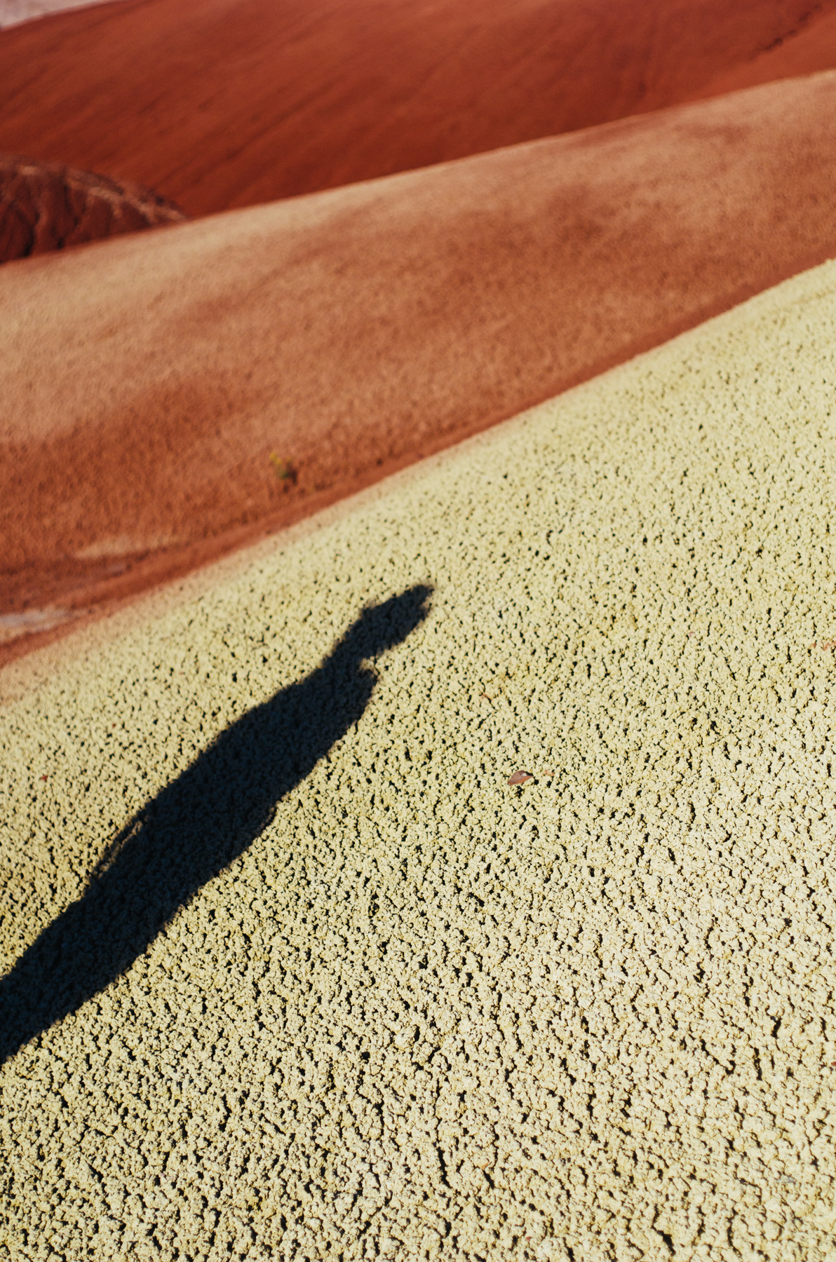 Painted Shadow – BOOOOOOOM! – CREATE * INSPIRE * COMMUNITY * ART ...
