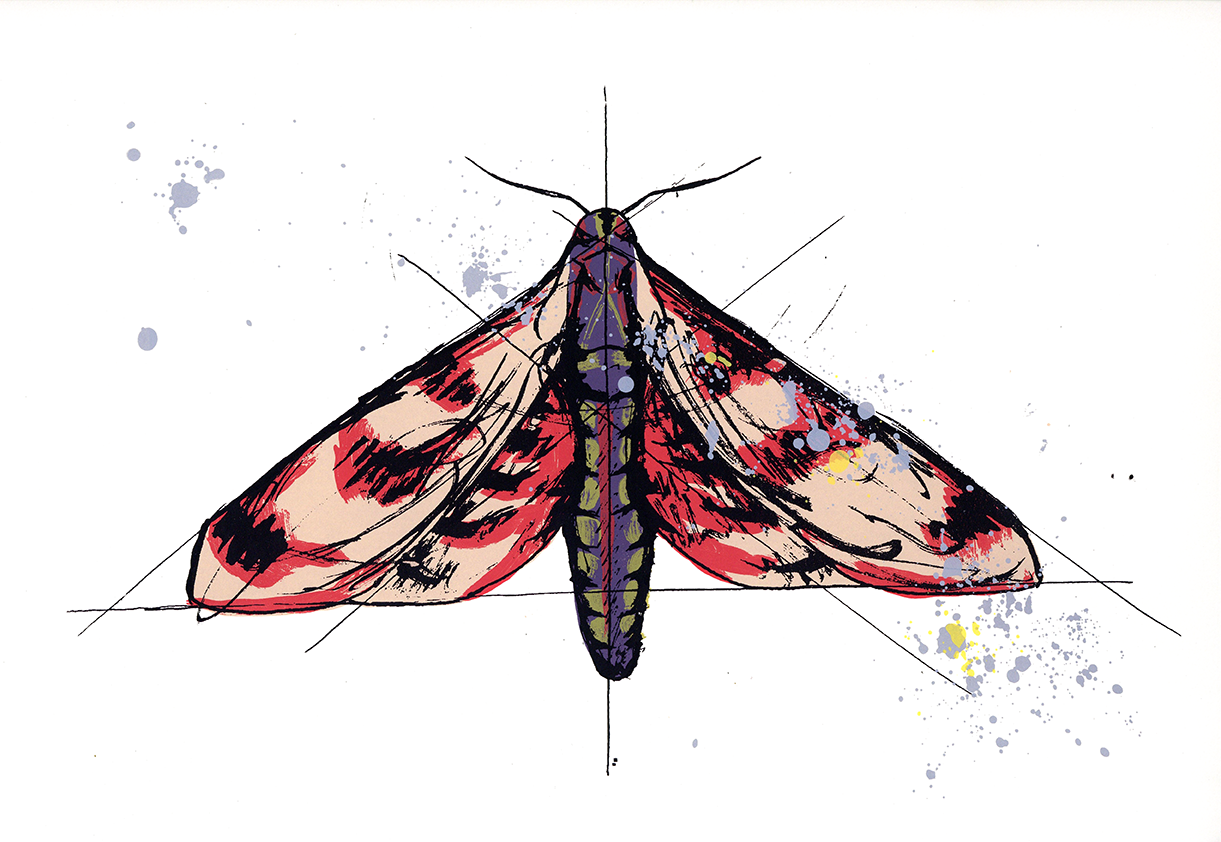 Endangered Insects Series – BOOOOOOOM! – CREATE * INSPIRE * COMMUNITY ...