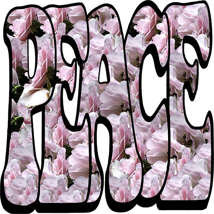 Peace Roses – BOOOOOOOM! – CREATE * INSPIRE * COMMUNITY * ART * DESIGN ...