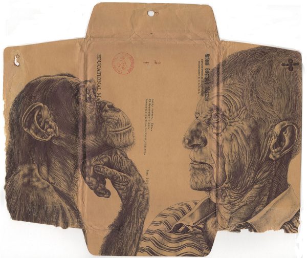 Artist Spotlight: Mark Powell