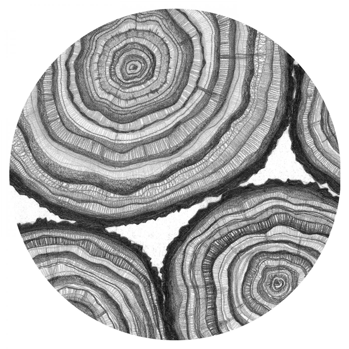 Textures in Nature – BOOOOOOOM! – CREATE * INSPIRE * COMMUNITY * ART ...