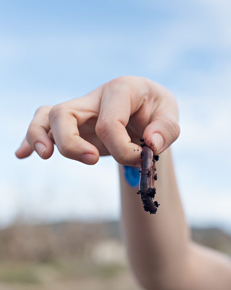 Ersatz Goods – BOOOOOOOM! – CREATE * INSPIRE * COMMUNITY * ART * DESIGN ...