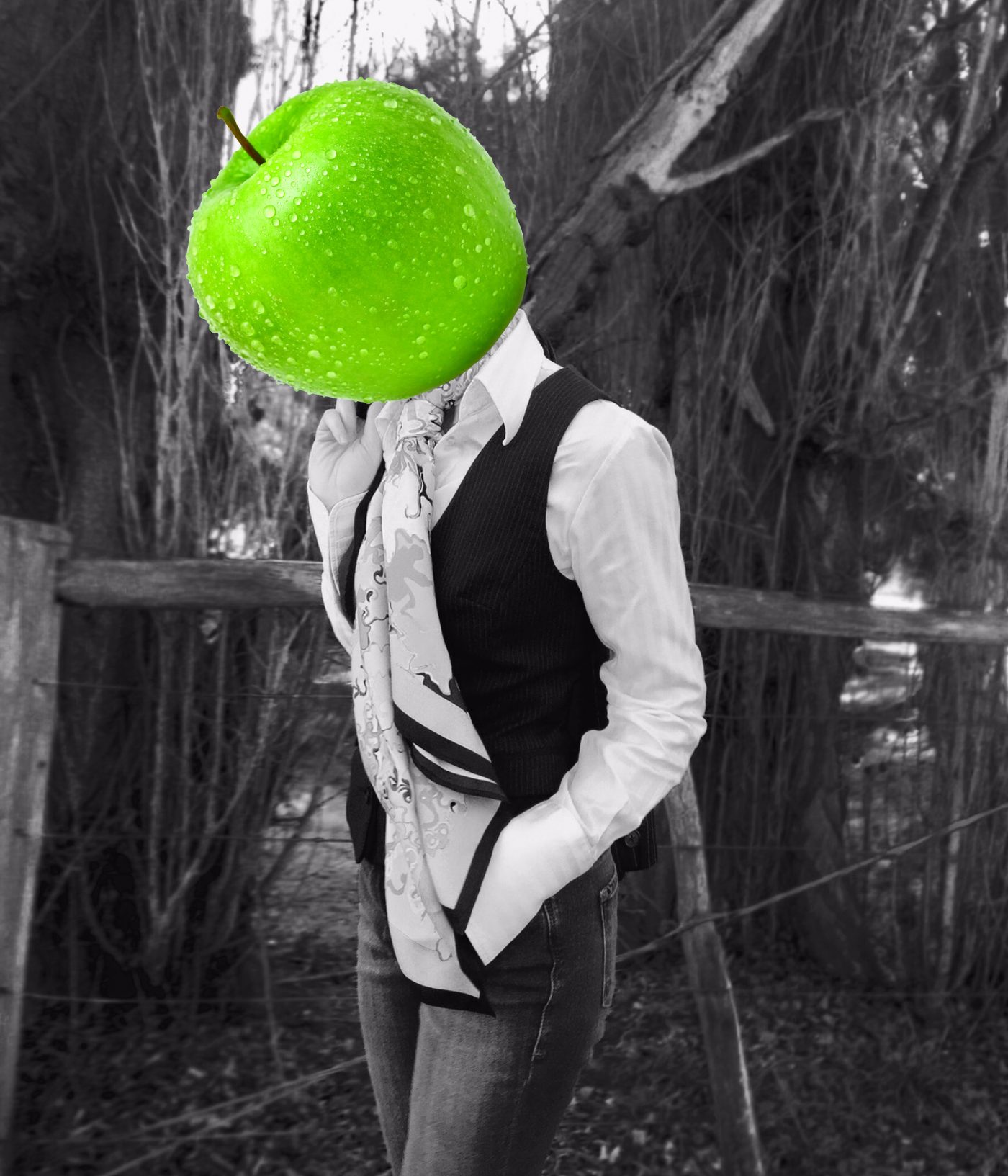 An Organic Entity – BOOOOOOOM! – CREATE * INSPIRE * COMMUNITY * ART ...