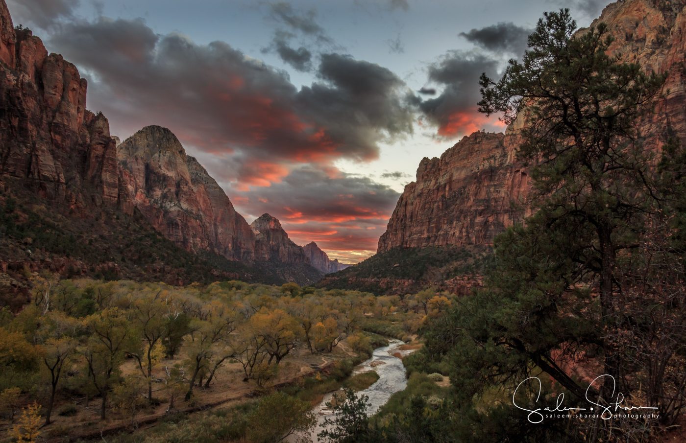 This Is Zion… – BOOOOOOOM! – CREATE * INSPIRE * COMMUNITY * ART ...