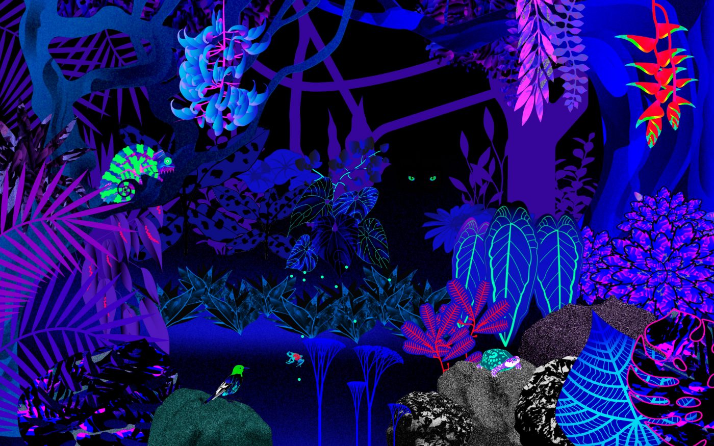 Step Inside the Digital Forest – BOOOOOOOM! – CREATE * INSPIRE ...