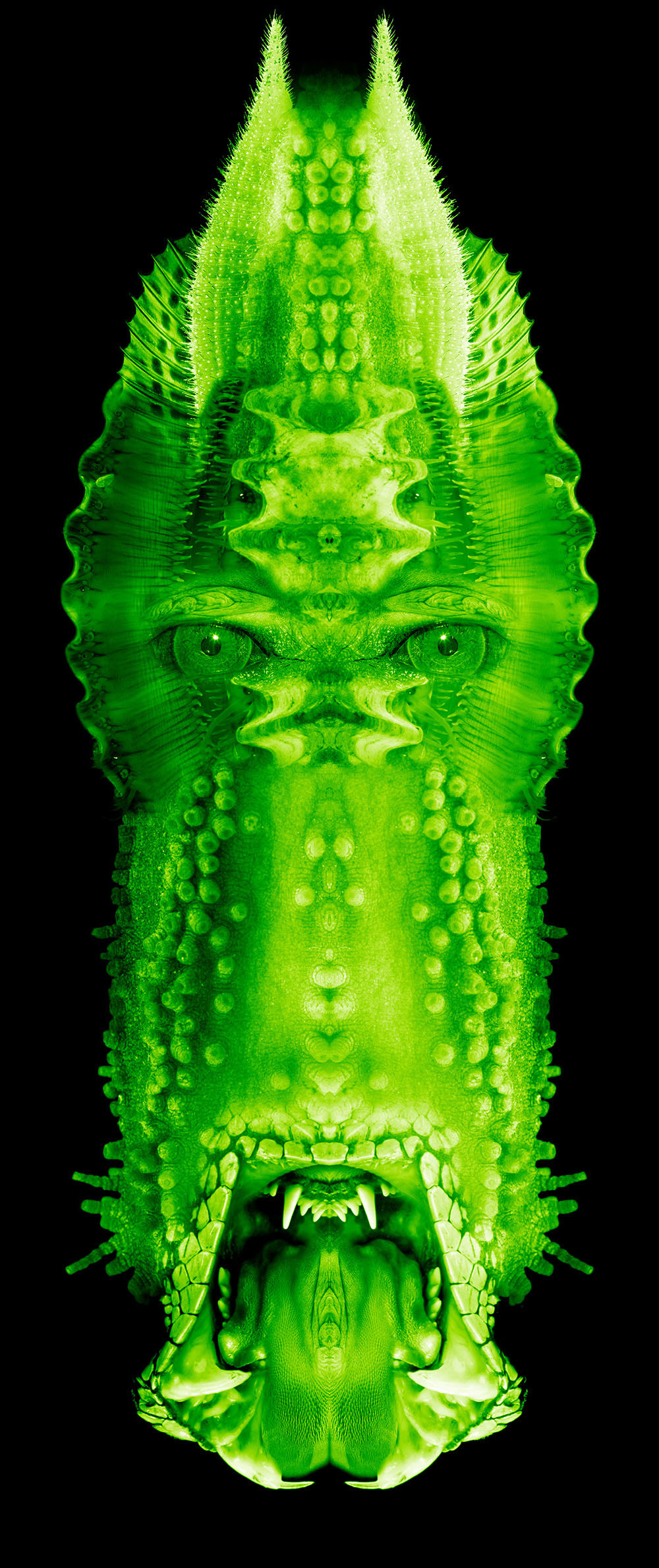 Green Creature Mashup – BOOOOOOOM! – CREATE * INSPIRE * COMMUNITY * ART ...