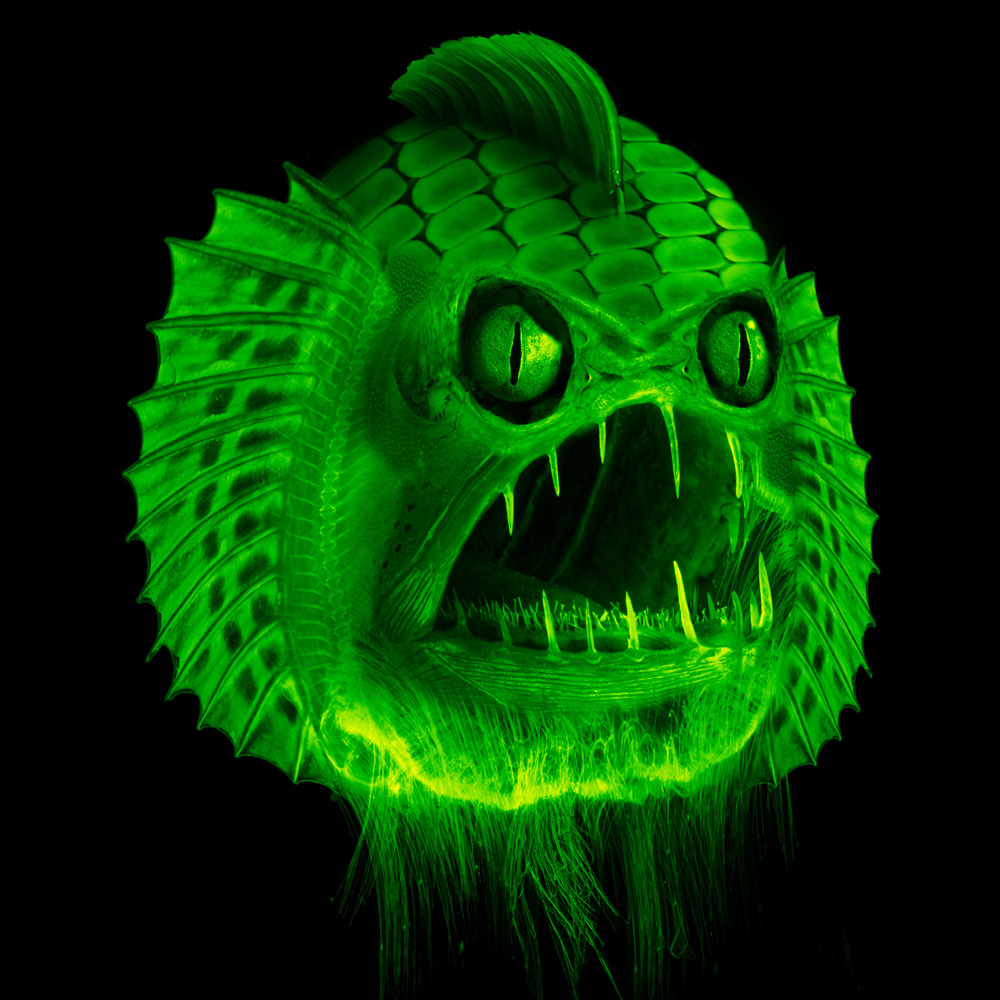 Green Creature Mashup – BOOOOOOOM! – CREATE * INSPIRE * COMMUNITY * ART ...