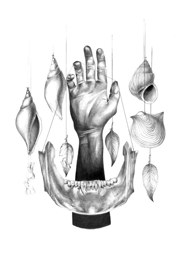 Pencil Illustrations – BOOOOOOOM! – CREATE * INSPIRE * COMMUNITY * ART ...