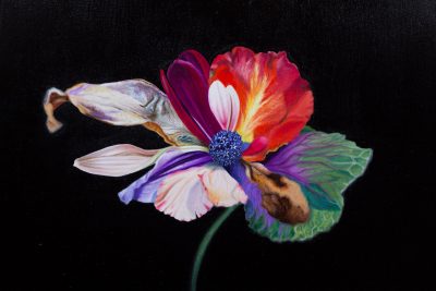 Photo-Realistic Paintings of Imaginary Flowers by Brandy Kraft