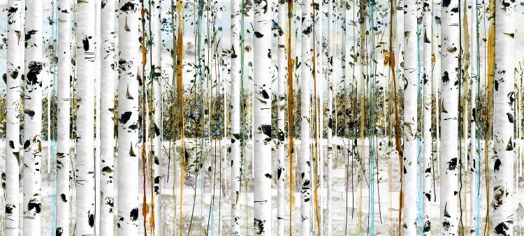 Tree – BOOOOOOOM! – CREATE * INSPIRE * COMMUNITY * ART * DESIGN * MUSIC ...