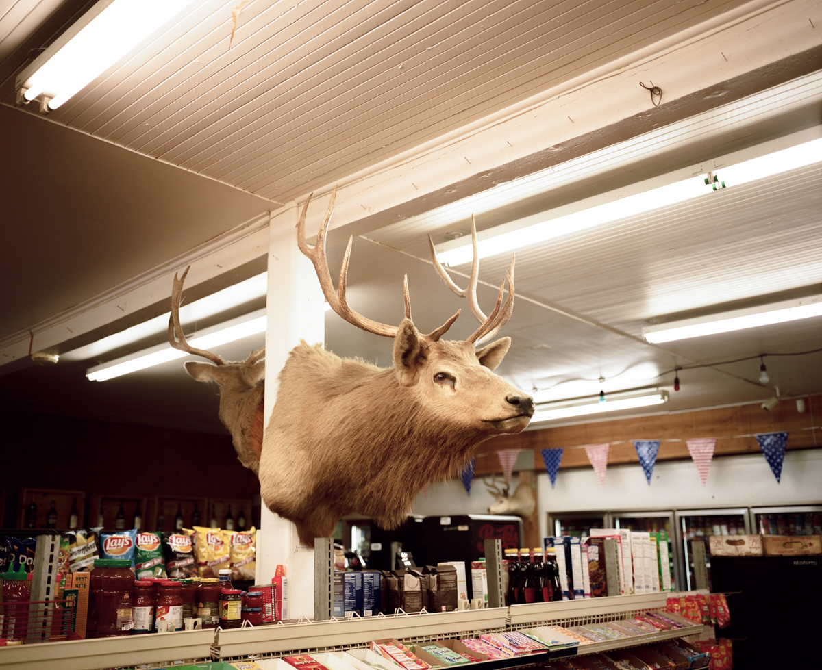 Photographer Spotlight: Josh Neff – BOOOOOOOM! – CREATE * INSPIRE ...