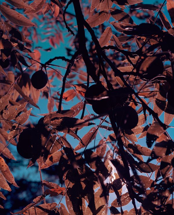 "strangerintwoworlds" by Photographer Brendan George Ko