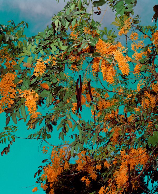 "strangerintwoworlds" by Photographer Brendan George Ko