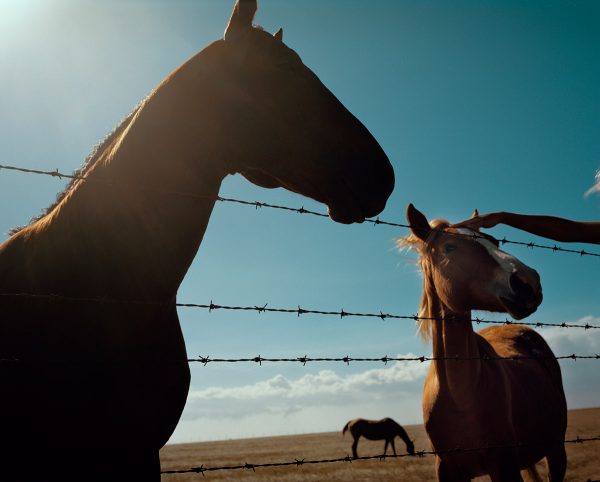 "strangerintwoworlds" by Photographer Brendan George Ko