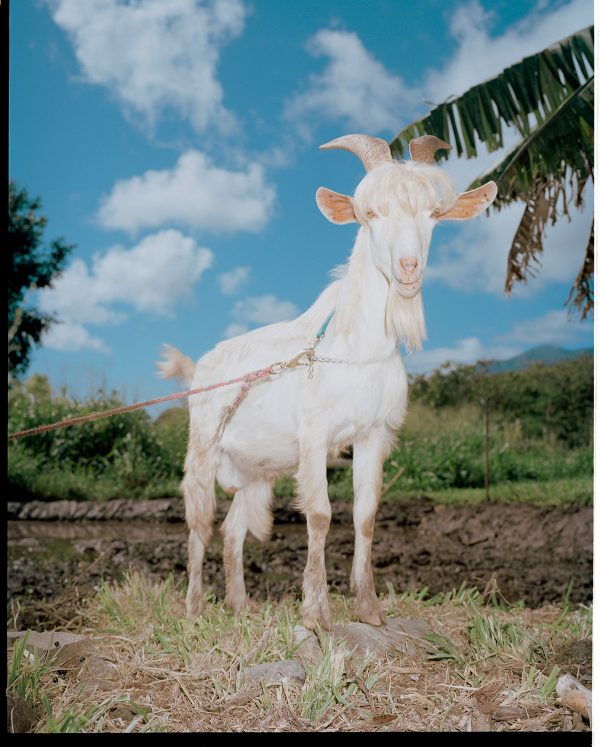 "strangerintwoworlds" by Photographer Brendan George Ko