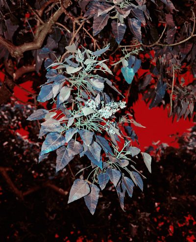 "strangerintwoworlds" by Photographer Brendan George Ko