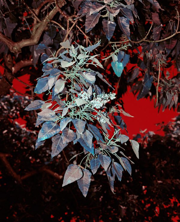 "strangerintwoworlds" by Photographer Brendan George Ko