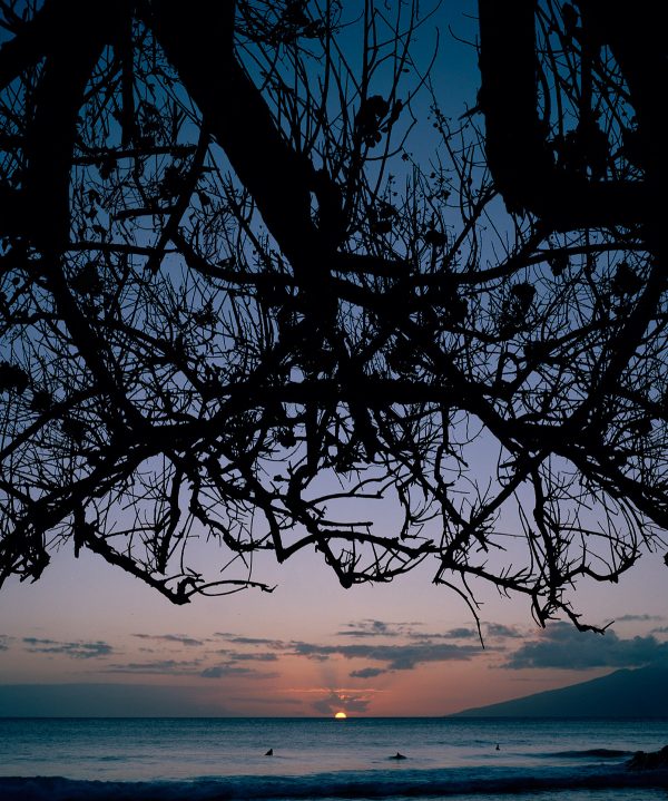 "strangerintwoworlds" by Photographer Brendan George Ko