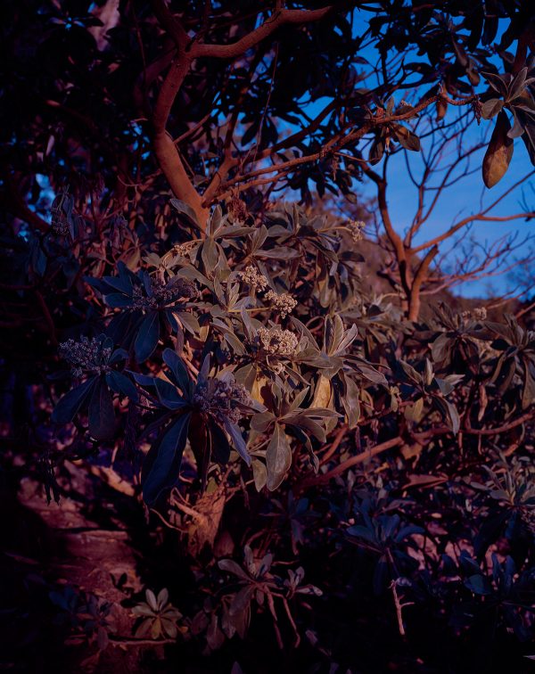 "strangerintwoworlds" by Photographer Brendan George Ko