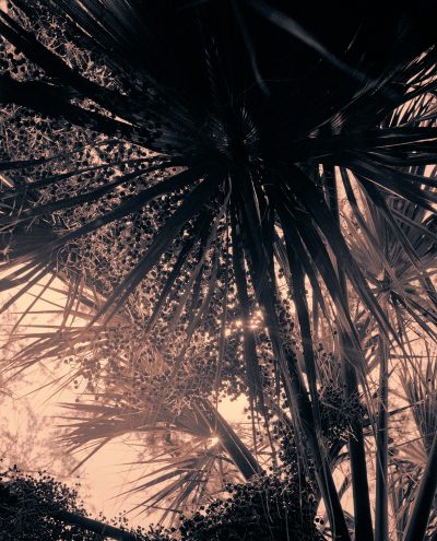 "strangerintwoworlds" by Photographer Brendan George Ko