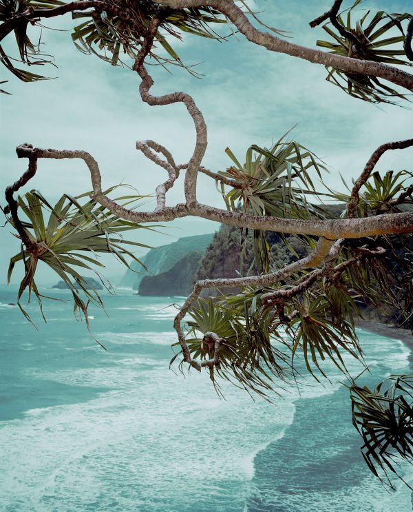 "strangerintwoworlds" by Photographer Brendan George Ko