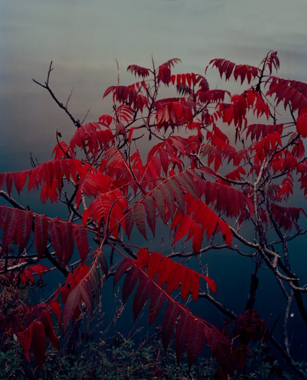 "strangerintwoworlds" by Photographer Brendan George Ko