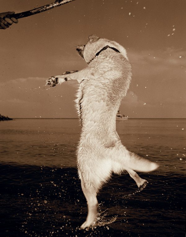 "strangerintwoworlds" by Photographer Brendan George Ko