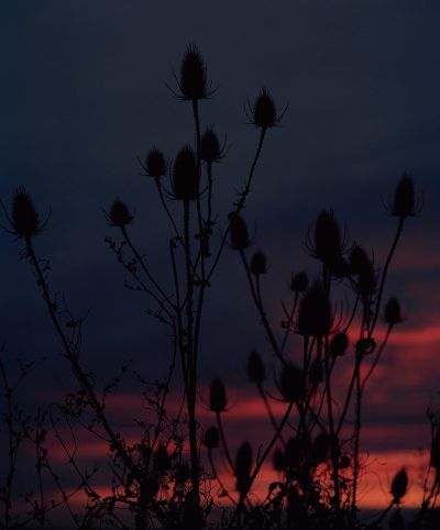 "strangerintwoworlds" by Photographer Brendan George Ko