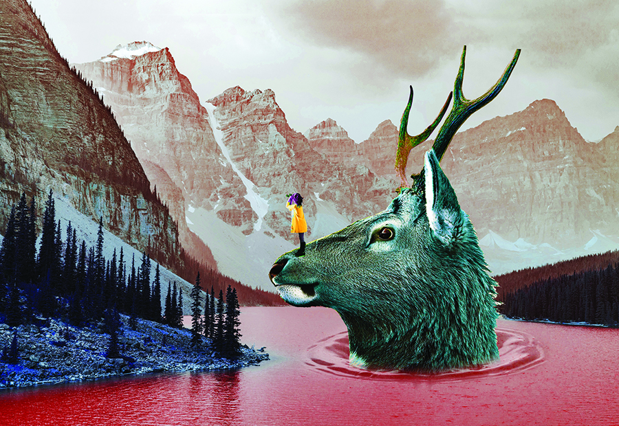 brazilian collage artists – BOOOOOOOM! – CREATE * INSPIRE * COMMUNITY ...