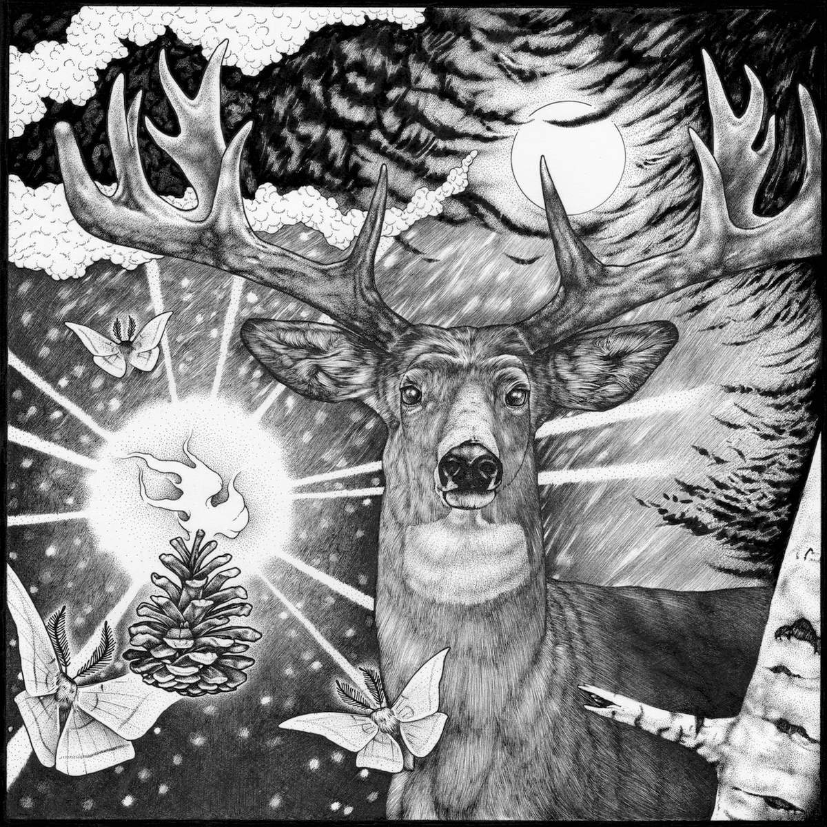 Nature’s Mystery – Pen & Ink Drawings – BOOOOOOOM! – CREATE * INSPIRE ...