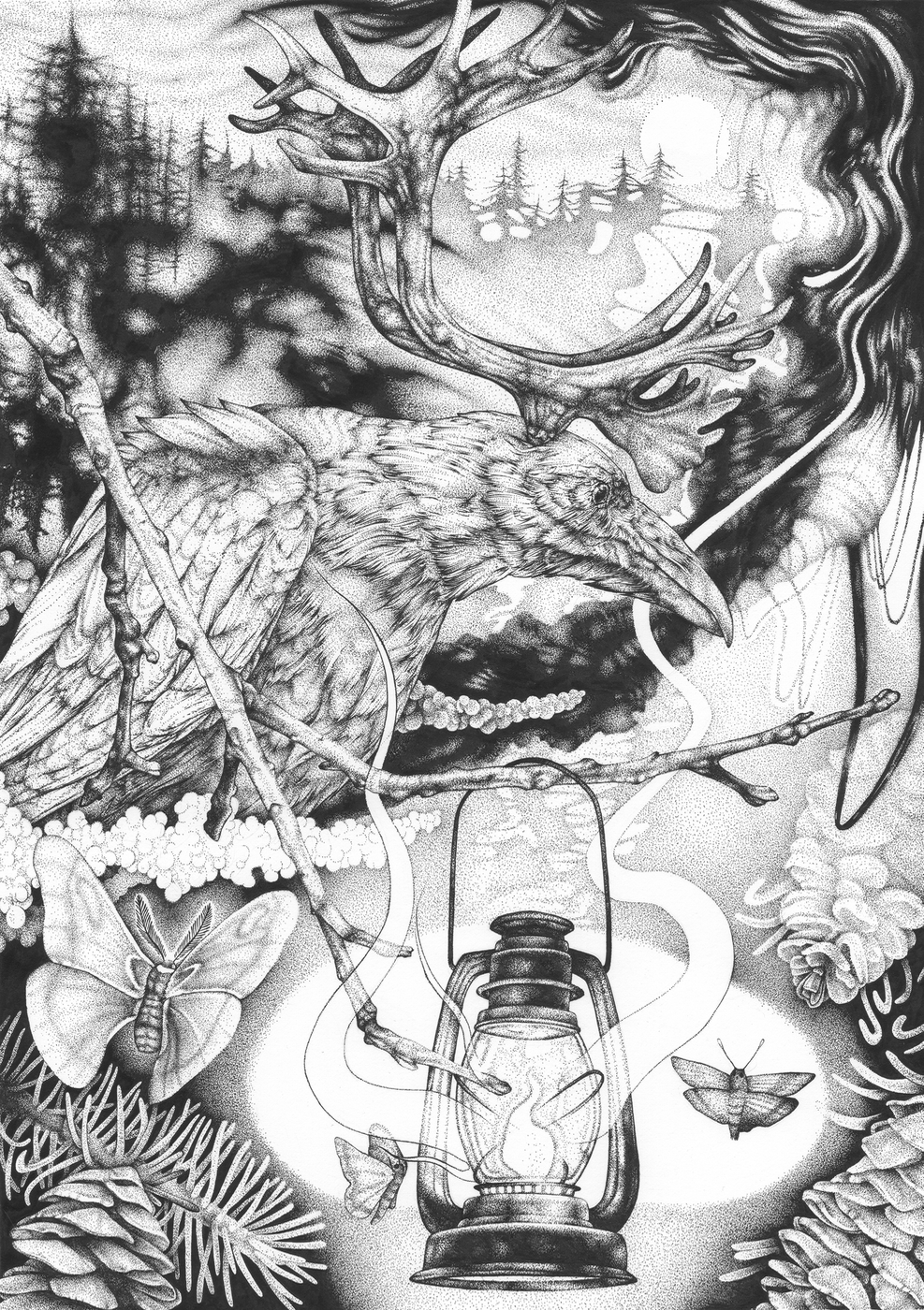 Nature’s Mystery – Pen & Ink Drawings – BOOOOOOOM! – CREATE * INSPIRE ...