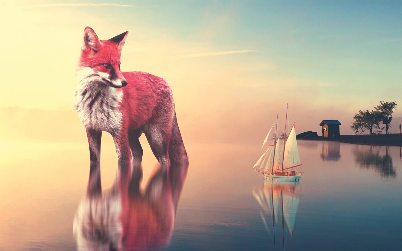 brazilian collage artists – BOOOOOOOM! – CREATE * INSPIRE * COMMUNITY ...