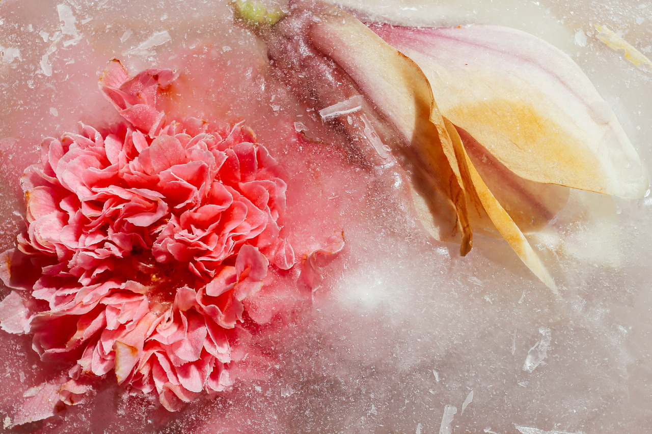 Flower Blocks – BOOOOOOOM! – CREATE * INSPIRE * COMMUNITY * ART ...