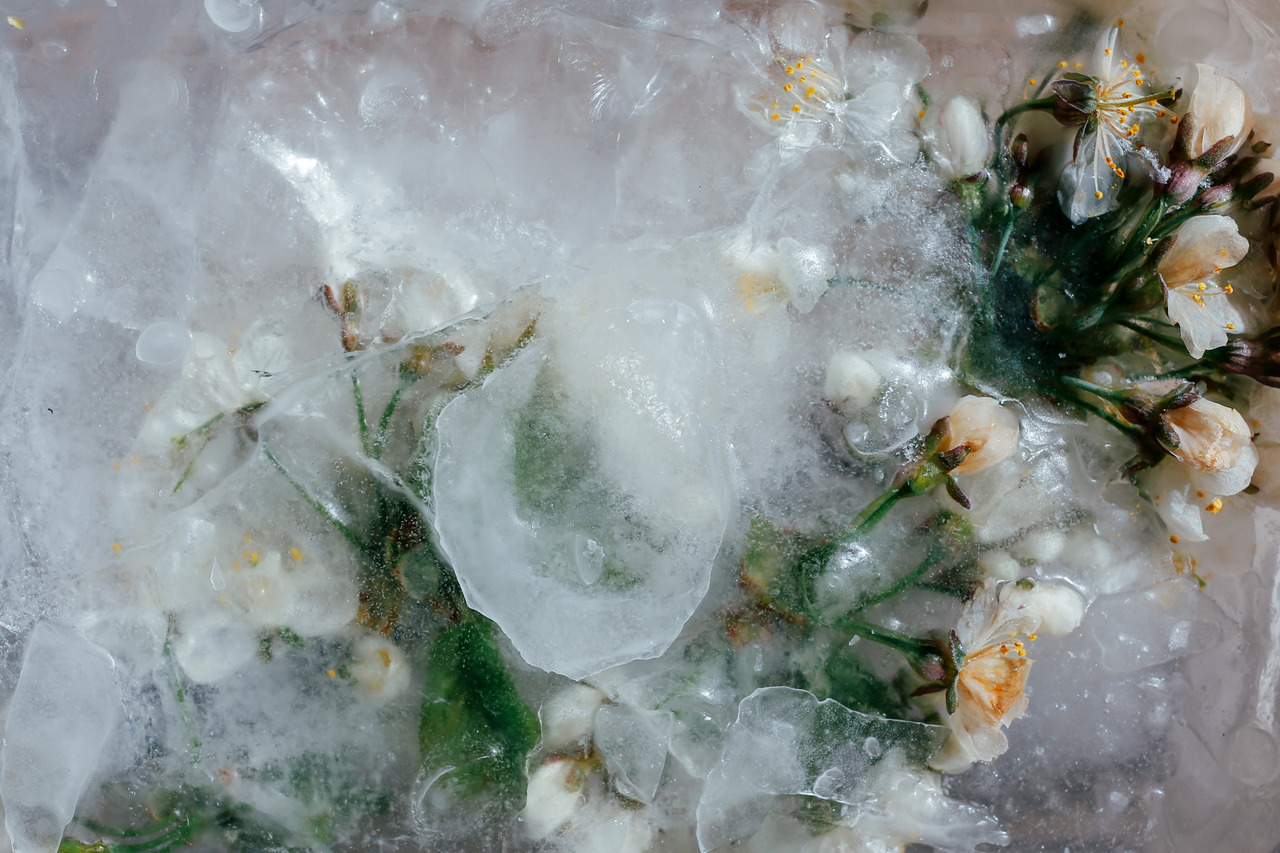 Flower Blocks – BOOOOOOOM! – CREATE * INSPIRE * COMMUNITY * ART ...