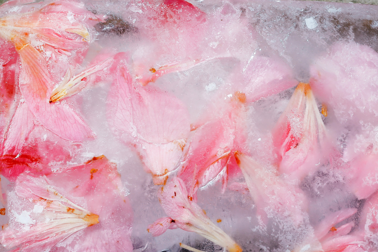 Flower Blocks – BOOOOOOOM! – CREATE * INSPIRE * COMMUNITY * ART ...