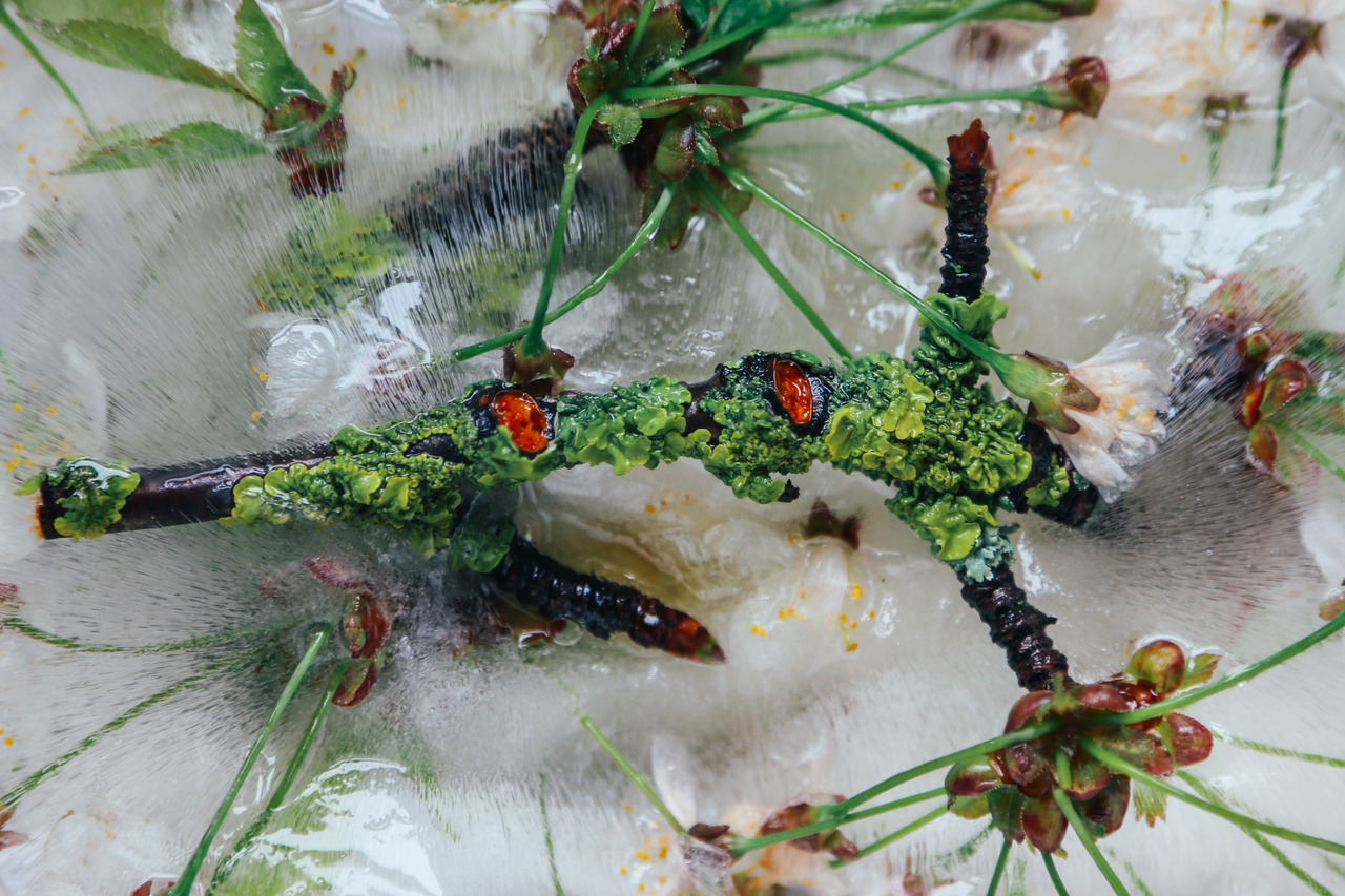 Flower Blocks – BOOOOOOOM! – CREATE * INSPIRE * COMMUNITY * ART ...