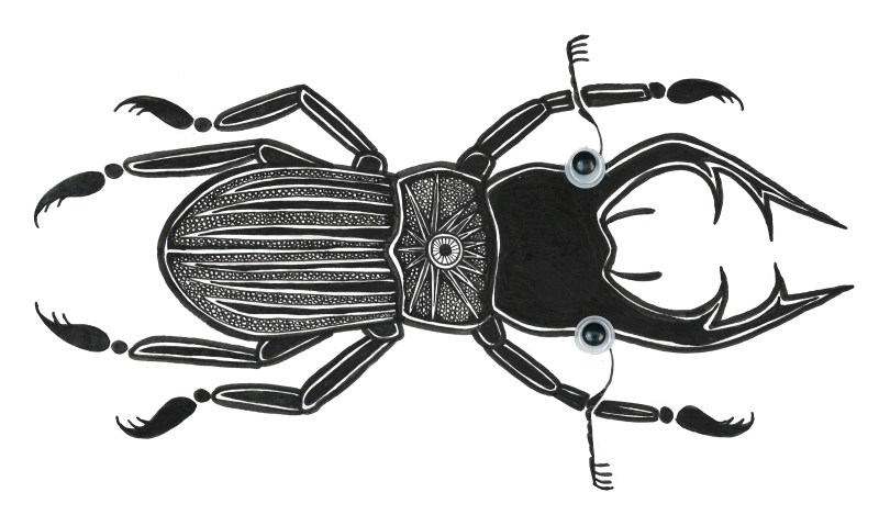 Googly Eye Bugs – BOOOOOOOM! – CREATE * INSPIRE * COMMUNITY * ART ...