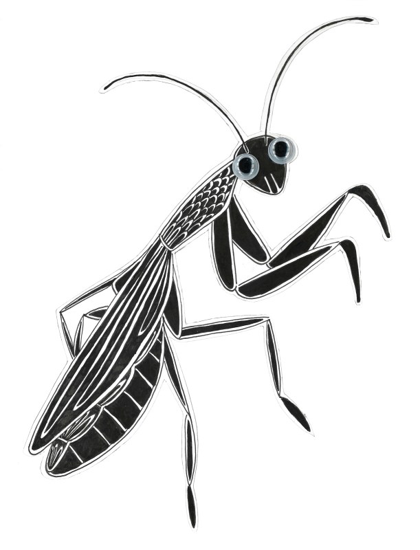 Googly Eye Bugs – BOOOOOOOM! – CREATE * INSPIRE * COMMUNITY * ART ...