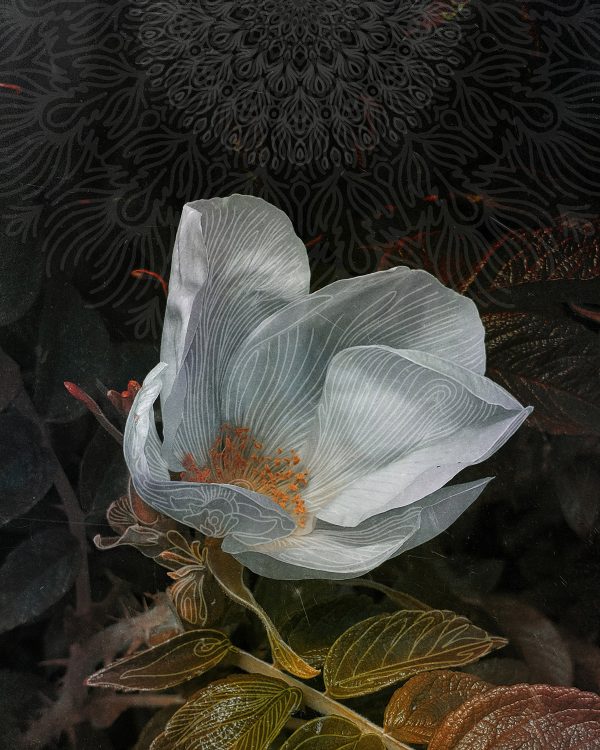 Artist Spotlight: Matt Andres – BOOOOOOOM! – CREATE * INSPIRE ...