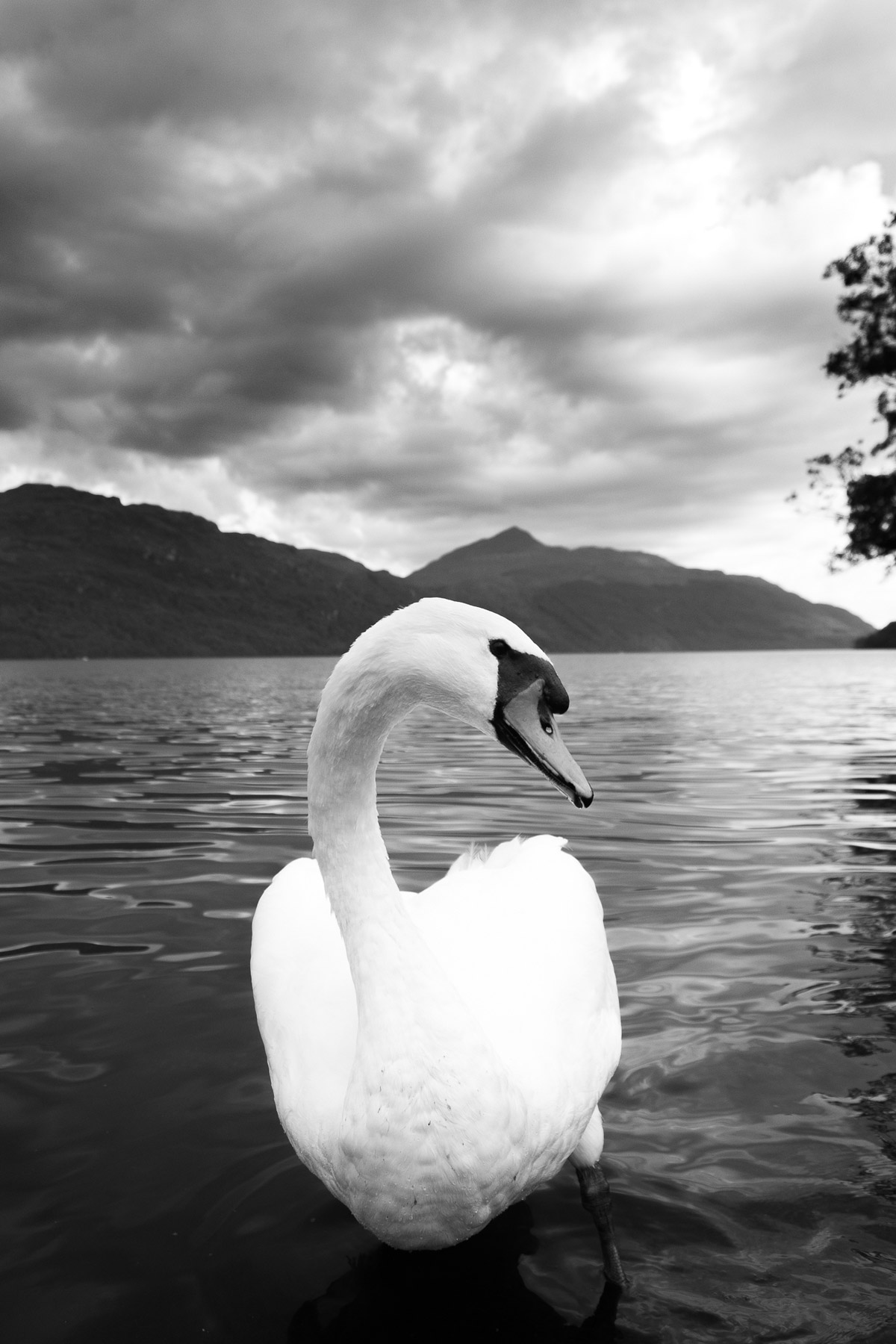 Photographer Spotlight: Sam Parkes – BOOOOOOOM! – CREATE * INSPIRE ...