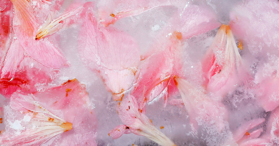 Photographer Spotlight: Joe Horner – BOOOOOOOM! – CREATE * INSPIRE ...