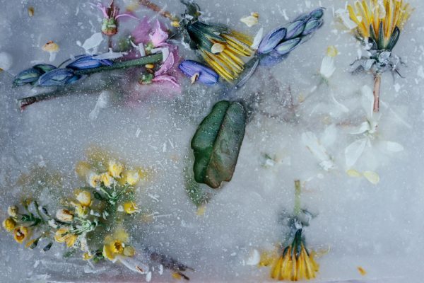 Photographer Spotlight: Joe Horner – BOOOOOOOM! – CREATE * INSPIRE ...