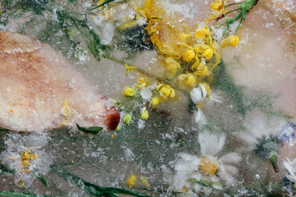 Photographer Spotlight: Joe Horner – BOOOOOOOM! – CREATE * INSPIRE ...