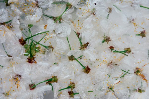 Photographer Spotlight: Joe Horner – BOOOOOOOM! – CREATE * INSPIRE ...