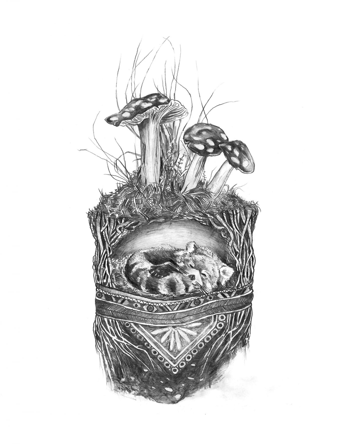 Ryan Riggs – The Natural World – BOOOOOOOM! – CREATE * INSPIRE ...