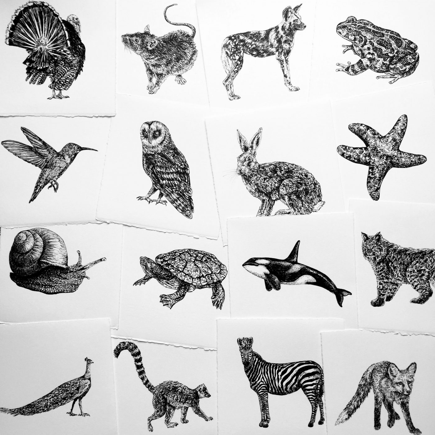 100 INK ANIMALS – BOOOOOOOM! – CREATE * INSPIRE * COMMUNITY * ART ...